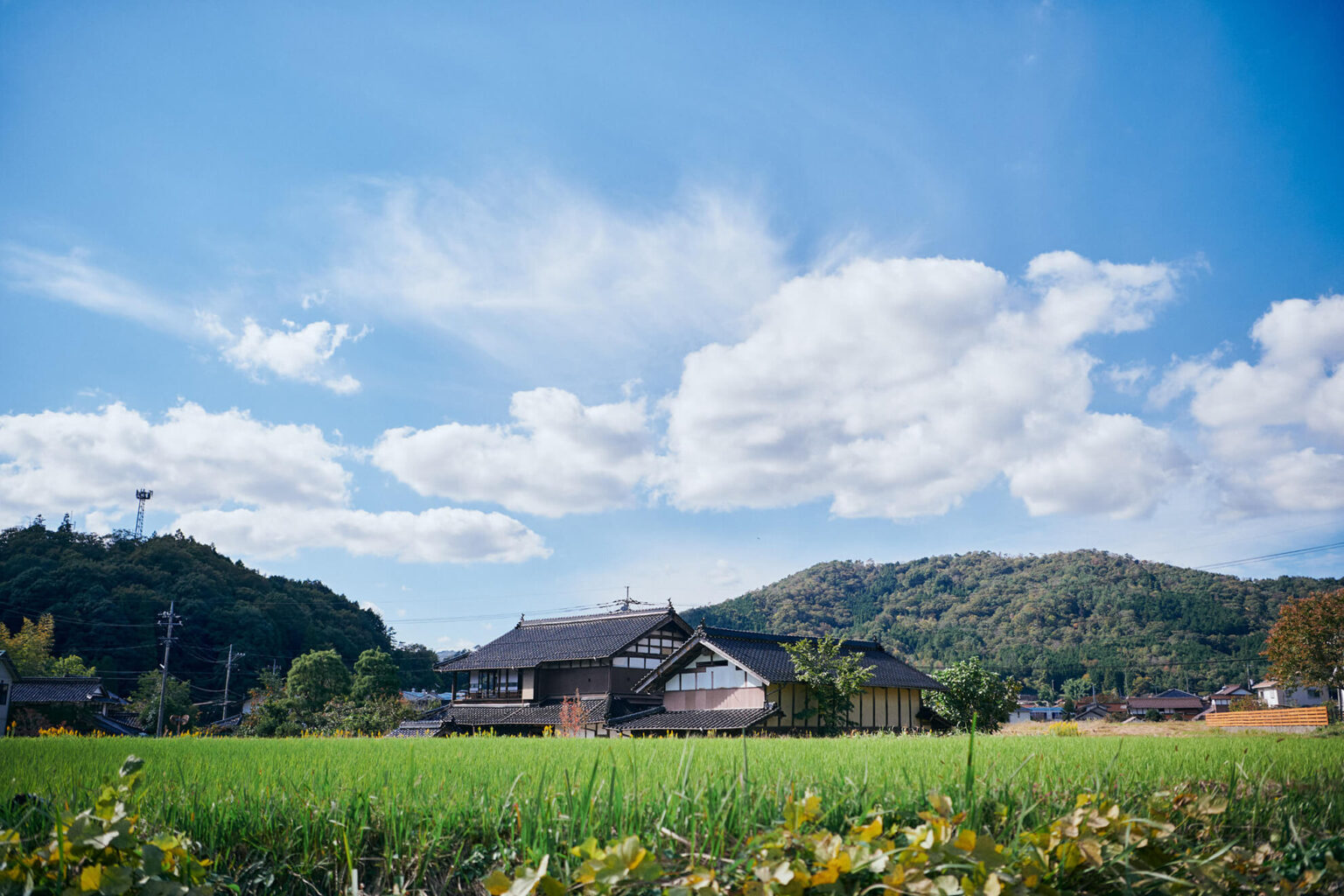 DX & DATASCIENCE DX・データ分析事業｜株式会社cica